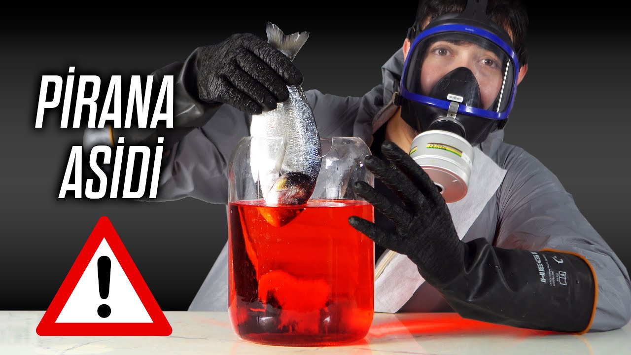 DEV PİRANA ASİDİ: Her Şeyi Buharlaştıran Asit !! - YouTube