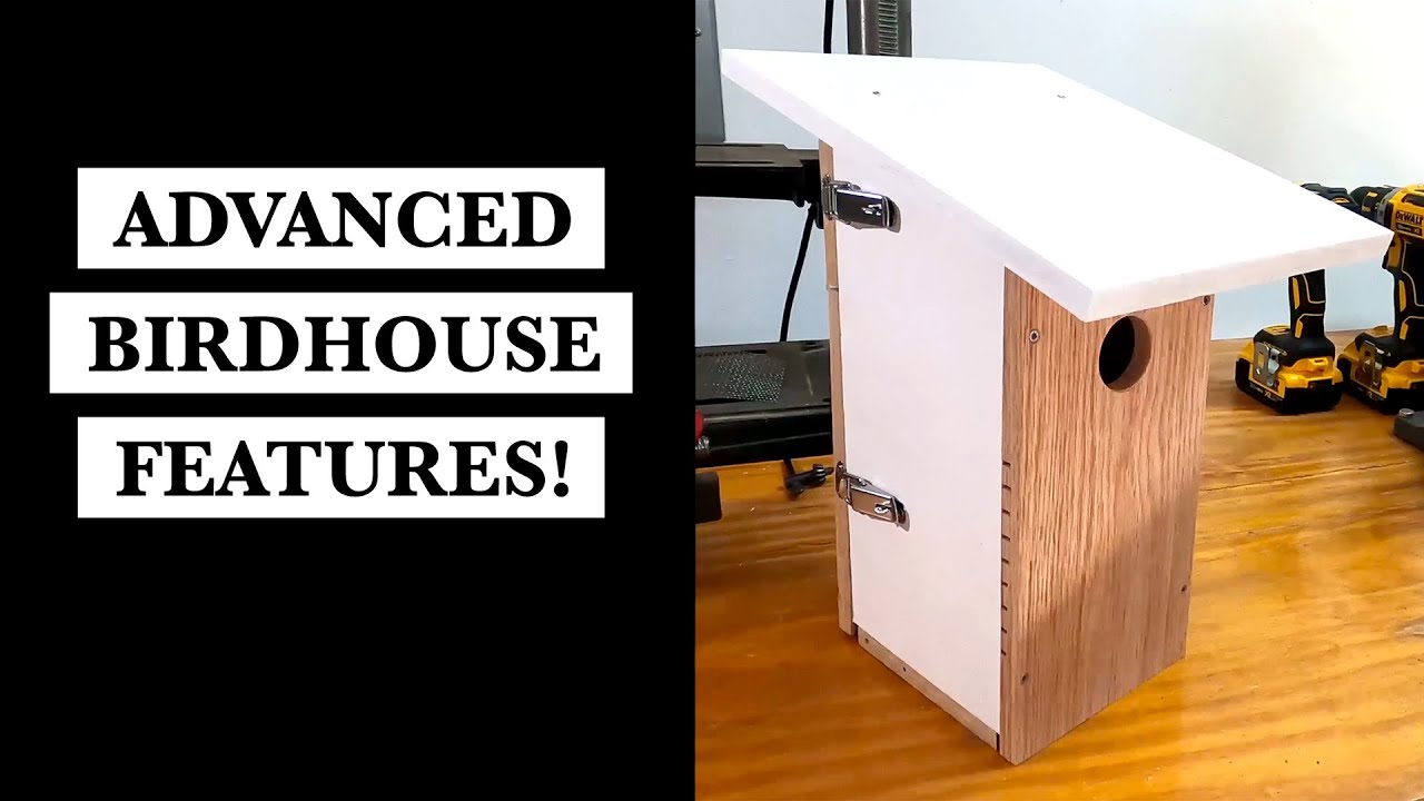 Advanced Features of my Latest Birdhouse - YouTube