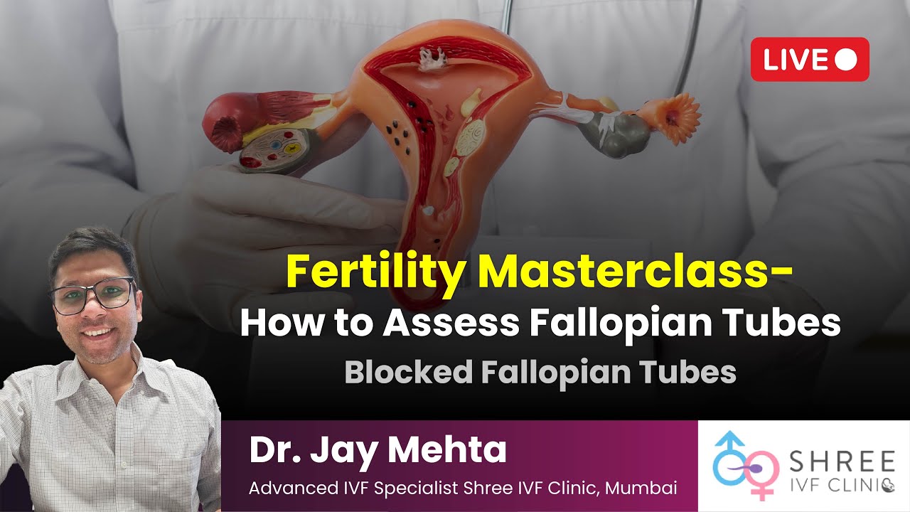 Fertility Masterclass- How to Assess Fallopian Tubes | Blocked ...