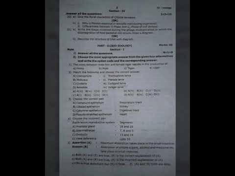 11th biology half yearly original question paper 2019 - YouTube