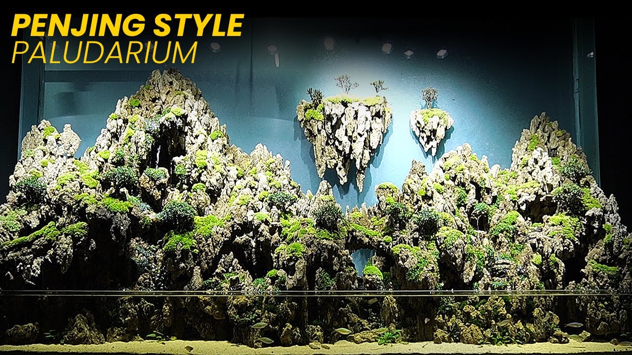 [AQUASCAPING REFERENCE] PENJING STYLE PALUDARIUM - FROM START TO FINISH ...