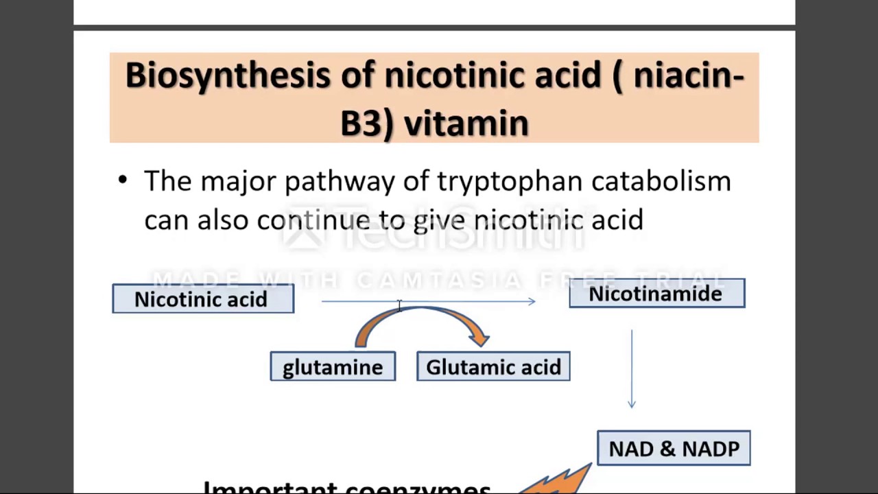 Creatine & Creatinine Metabolism - YouTube