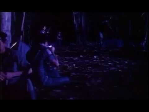 Cheetah on Fire Official long Trailer 1993 [Donnie Yen]