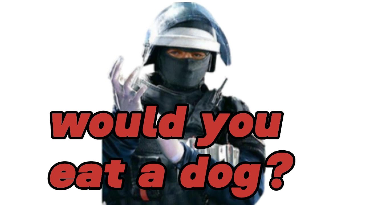 would you eat dog (r6 moments of all time) - YouTube