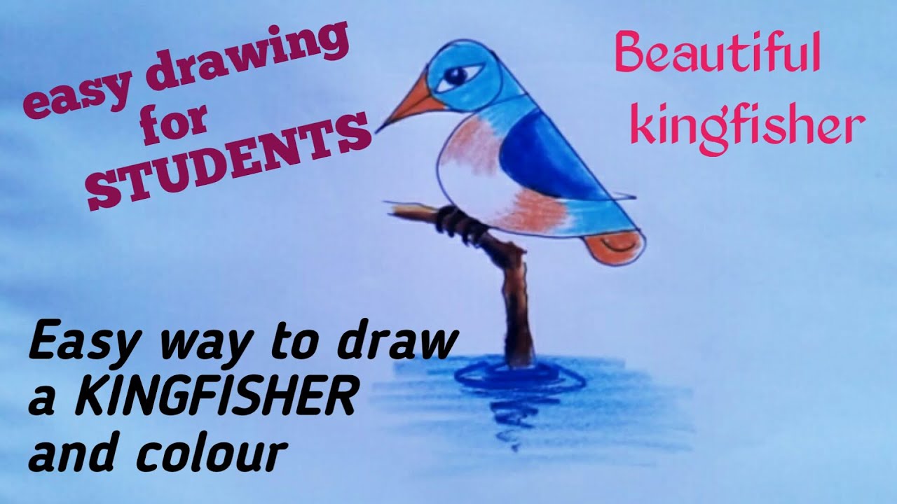 How to draw a KINGFISHER easy way - YouTube