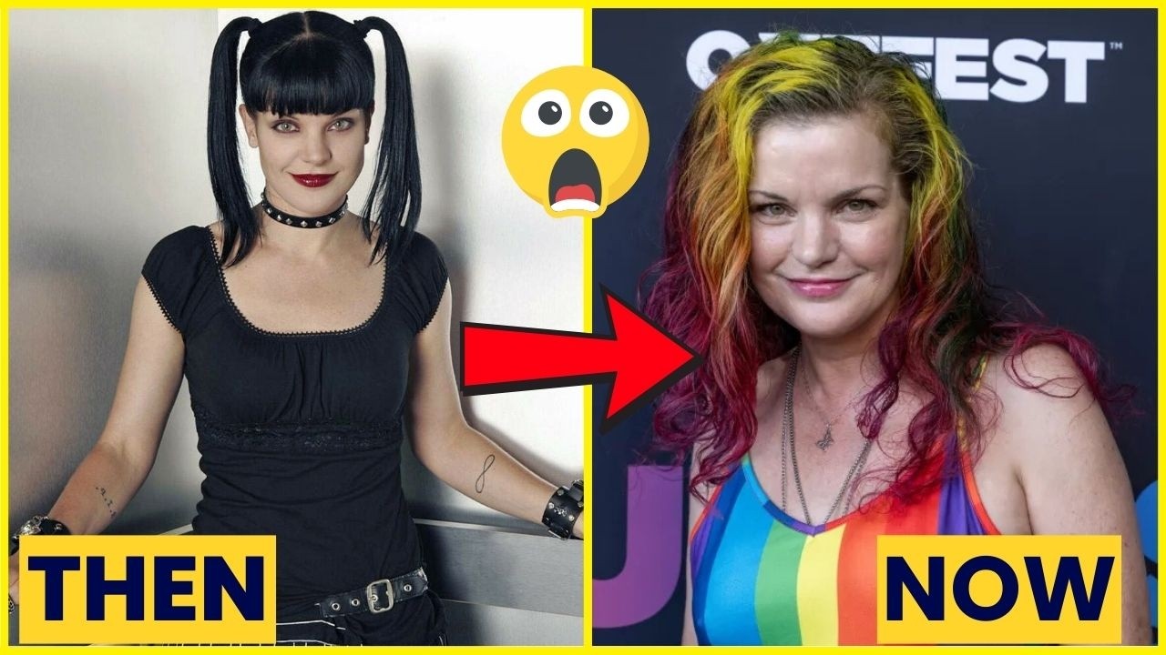 NCIS 2003 Cast: Then and Now - Incredible Transformations in 2024 ...