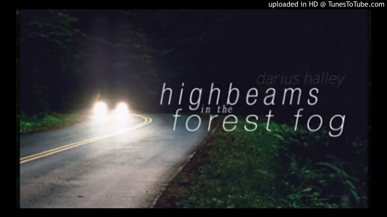 darius halley - highbeams in the forest fog - YouTube