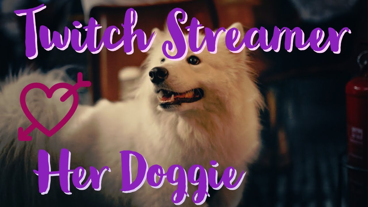 This 👩🏽 Twitch Streamer🎮 Loves Her Doggie 🐺 - YouTube