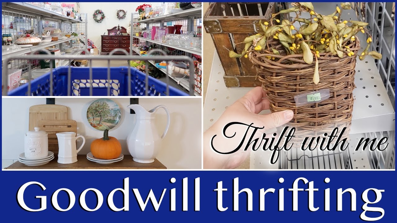 Goodwill Thrift With Me | Mini Thrift Haul | Bonnie Gets A Bath | Vlog ...