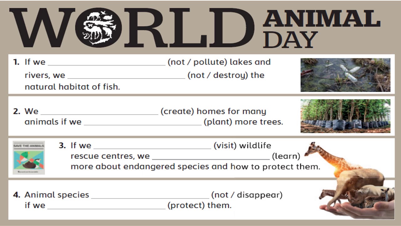 Grade 6 English Module 8 Project - YouTube