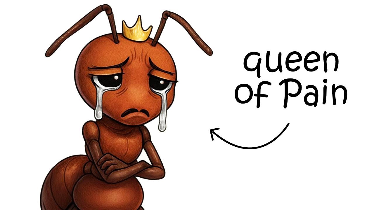 Your Life as a Queen Ant - YouTube