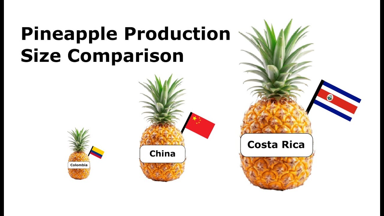 Pineapple Production Size Comparison by Country | AbyazTW #comparison ...