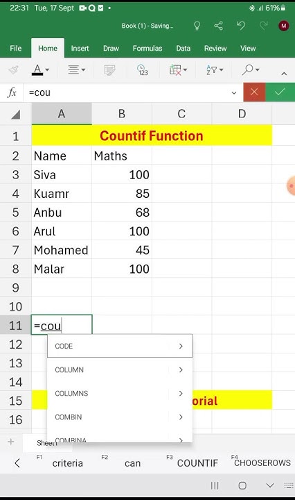 ms excel counting function learn - YouTube