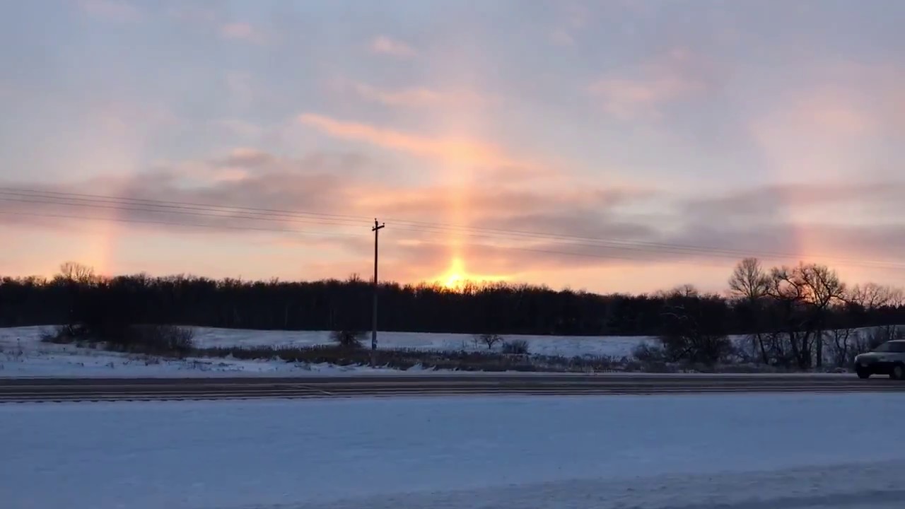 Winter Sun Dog - YouTube
