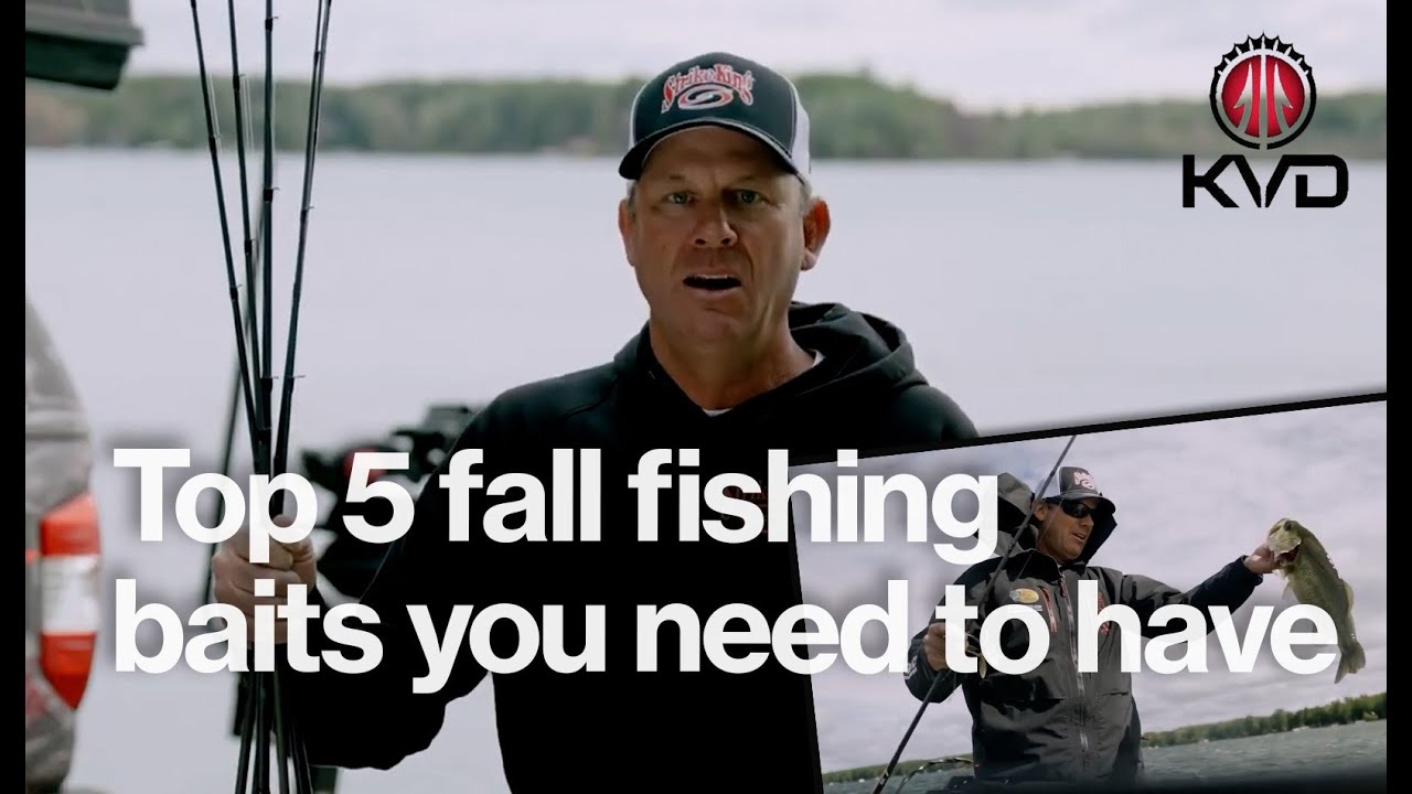Best Fall Baits for Bass Fishing | Top 5 Lures That Actually Work with ...