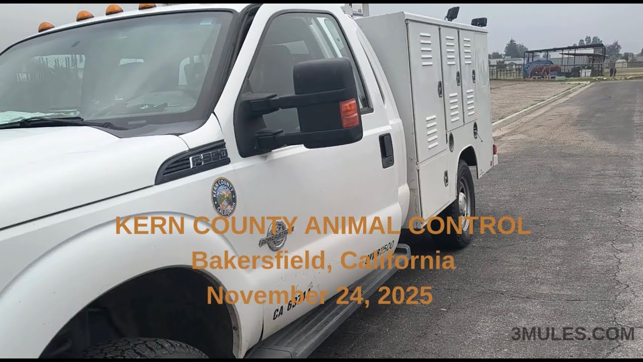 Kern County Animal Services Notification of Intent to Seize Animal ...