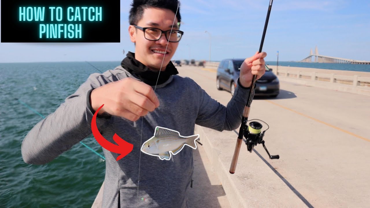 How To Catch Pin Fish Off Skyway Fishing Pier Like Thonny In St Pete ...