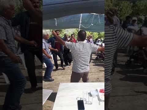 Mut Düğünleri Yöresel Oyun Havaları (Çukurbağ Köyü)