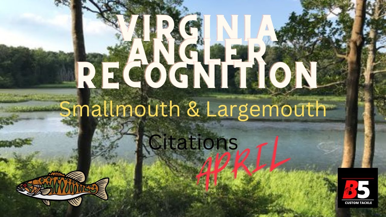 Bass Fishing Citations ‼️Virginia Angler Recognition Program🔨🔨 ...