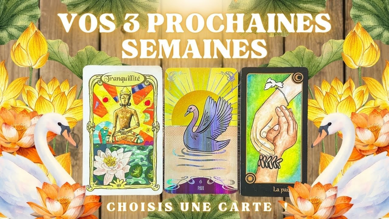 🎀 VOS TROIS PROCHAINES SEMAINES 🪄TROIS CHOIX 💍 INTEMPOREL 🎁 - YouTube