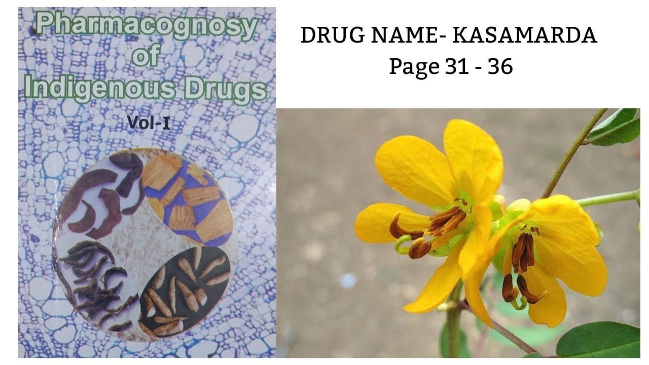 Pharmacognosy Of Indigenous Drug Volume 1 Drug Name - Kasamarda, Page ...