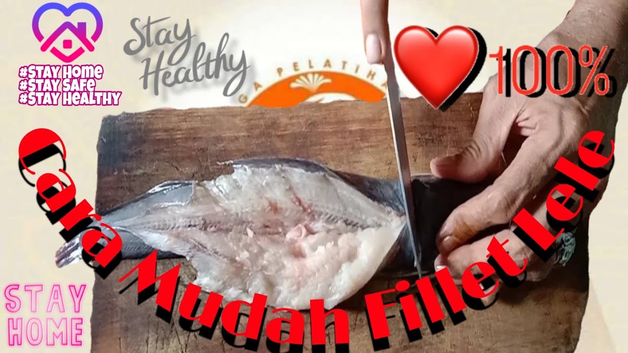 Cara Mudah Fillet Ikan Lele - YouTube