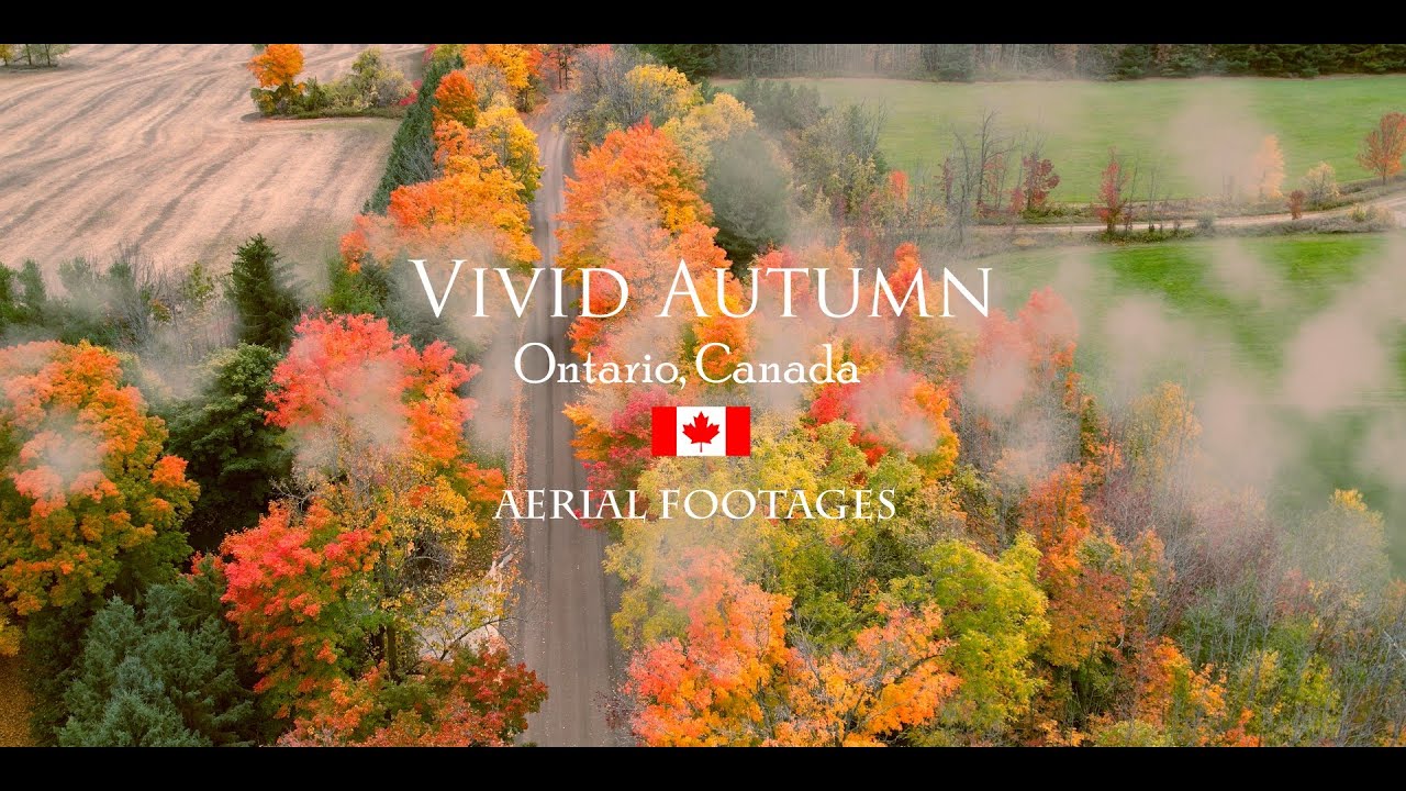 Vivid Autumn Colors, Fall Colors from Ontario Canada - YouTube