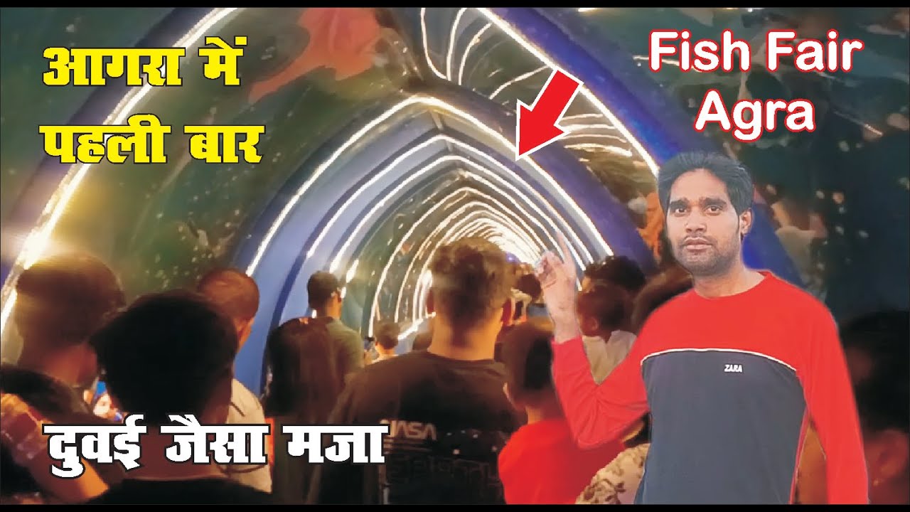 Fish Fair Agra - YouTube
