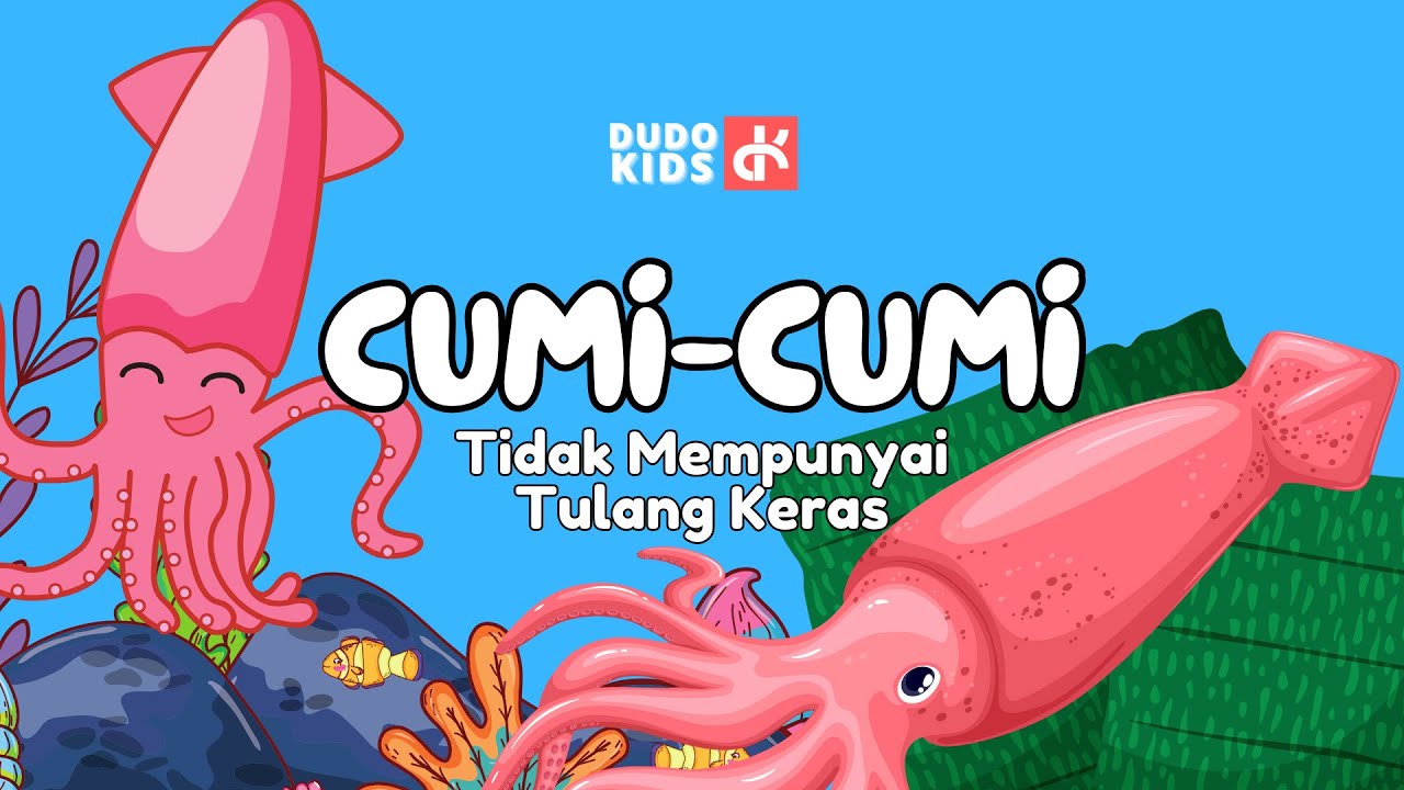 Mengenal Cumi-cumi hewan lucu teman gurita | Ensiklopedia Hewan | Dudo ...