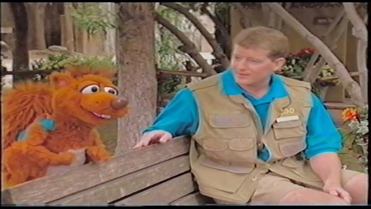 Barney: Let’s Go To The Zoo (VHS UK) (Full) (2002) (2) - YouTube