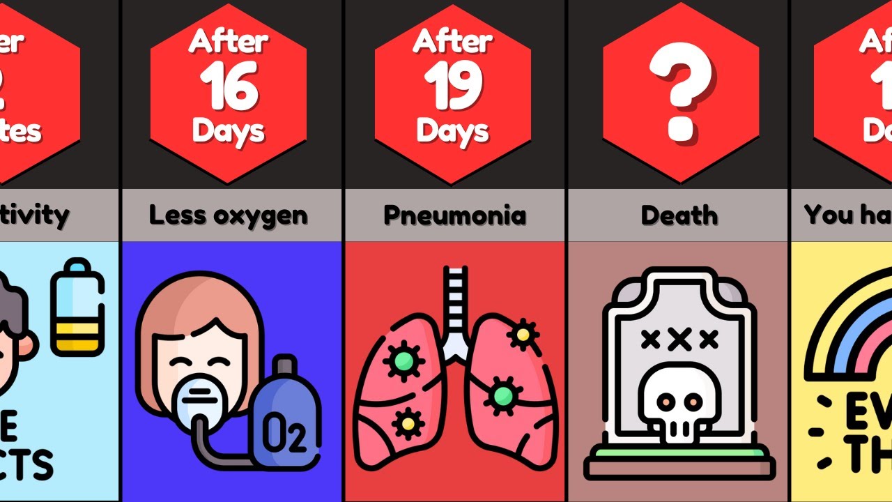 Timeline : What If You Stayed In Bed Forever - YouTube