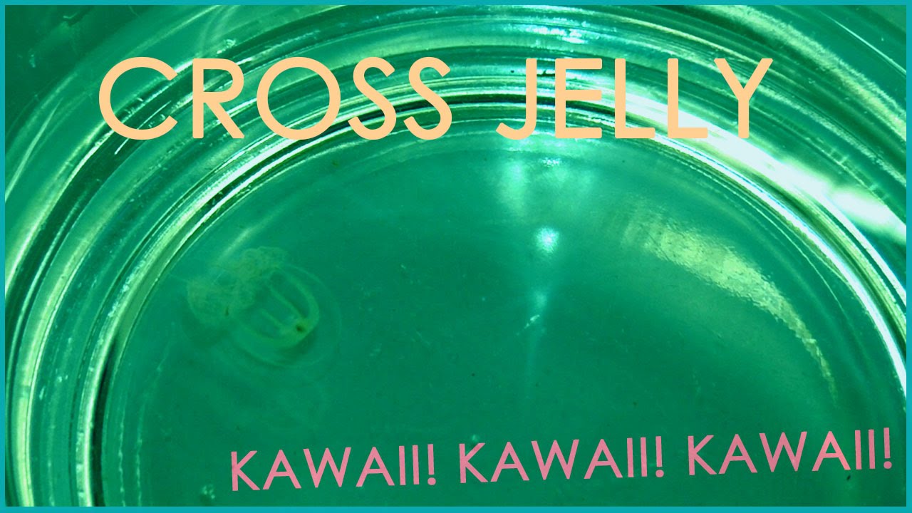 ADORABLE CROSS JELLY! | Finding Nemopsis - YouTube