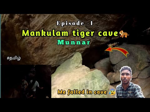 Munnar tiger cave 🐅| looking like Guna cave 😧|kerala trip|episode-1 ...