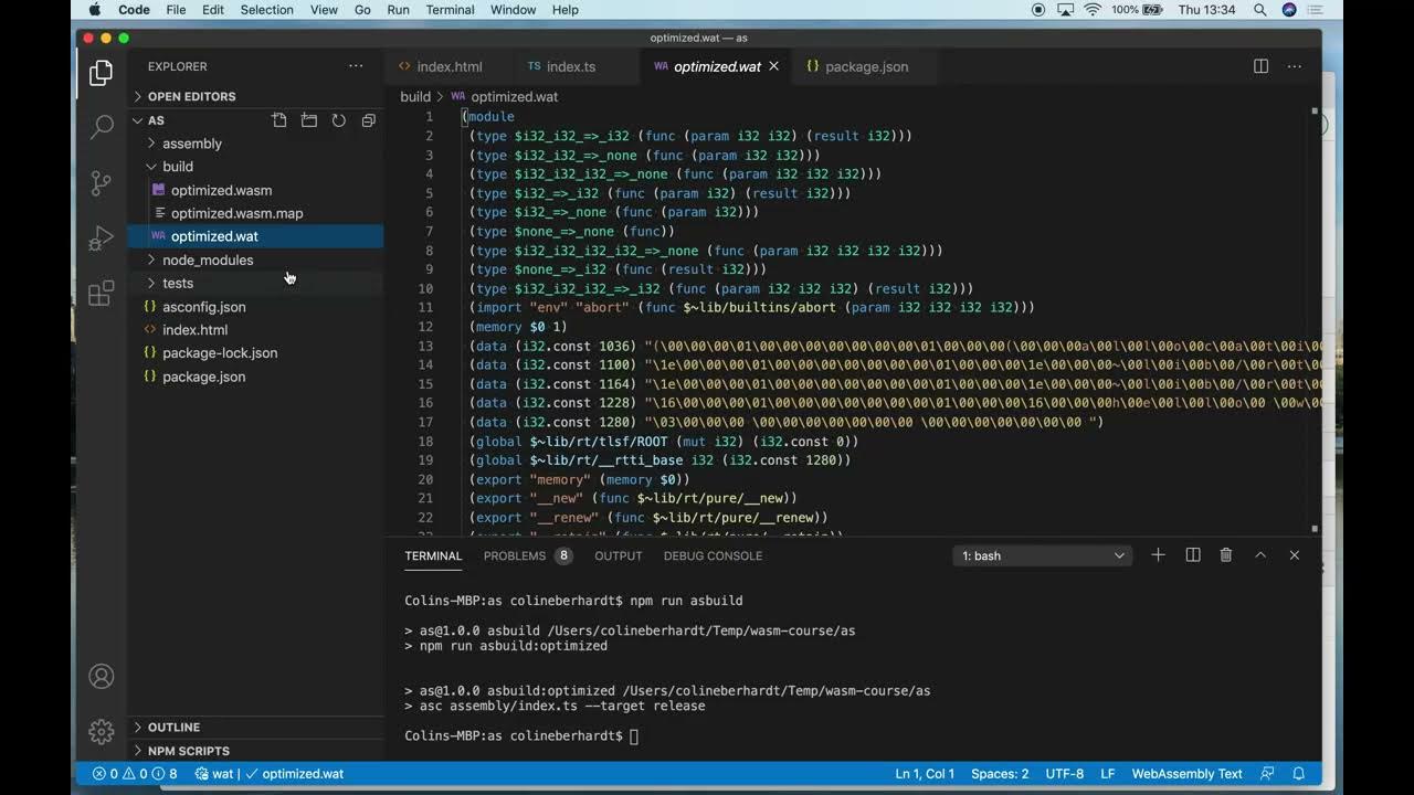 Using AssemblyScript - YouTube