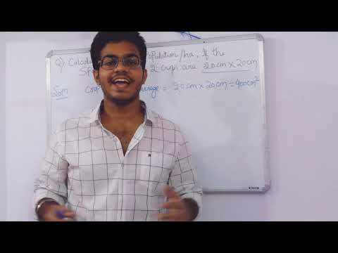 CALCULATION OF PLANT POPULATION IN AN INTERCROPPING SYSTEM . BY Mr ...