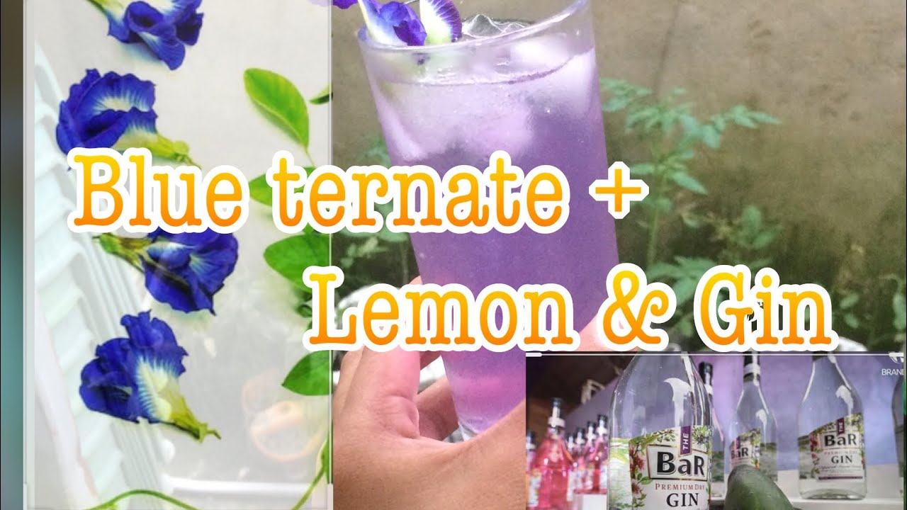 COCKTAIL||TIPSY VEGAN BLUE TERNATE - YouTube