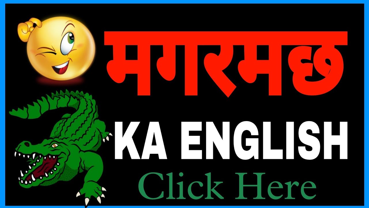 Magarmach Ko English Mein Kya Kahate Hain Magarmach Ko English Me Kya magarmach-ko-english-mein-kya-kahate-hain-magarmach-ko-english-me-kya