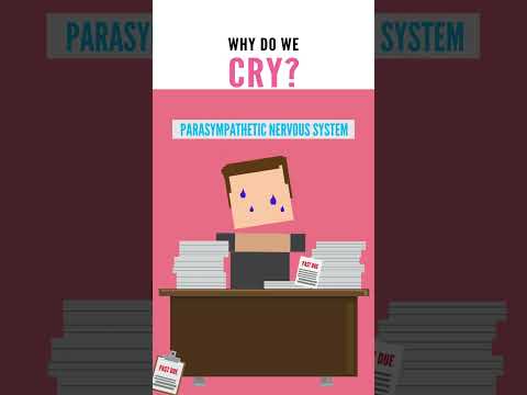 Why Do You Cry When You're Sad? #shorts #education | Safe Videos for Kids