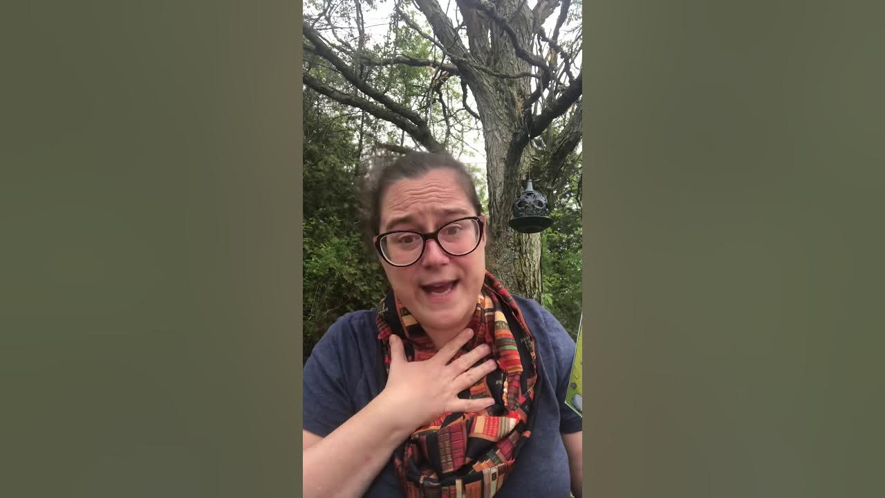 No Lie, Pigs and Their Houses Can Fly! - YouTube