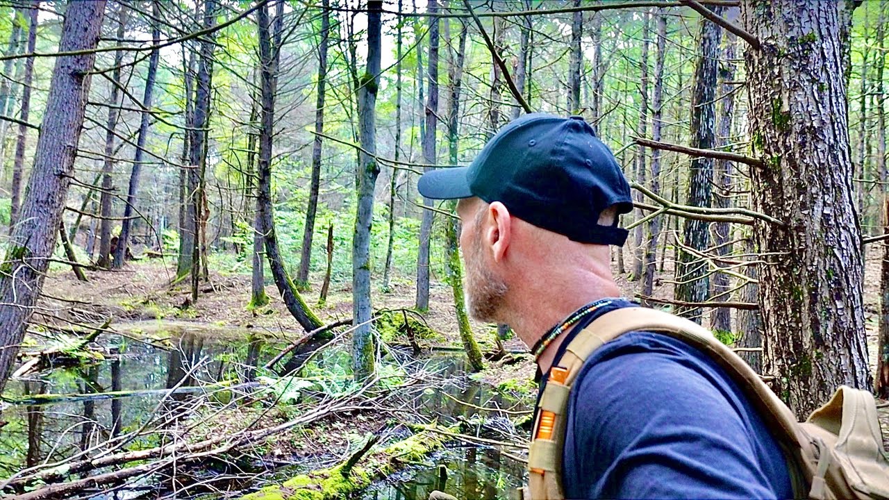Exploring the unknown forest in new Hampshire looking for old places ...