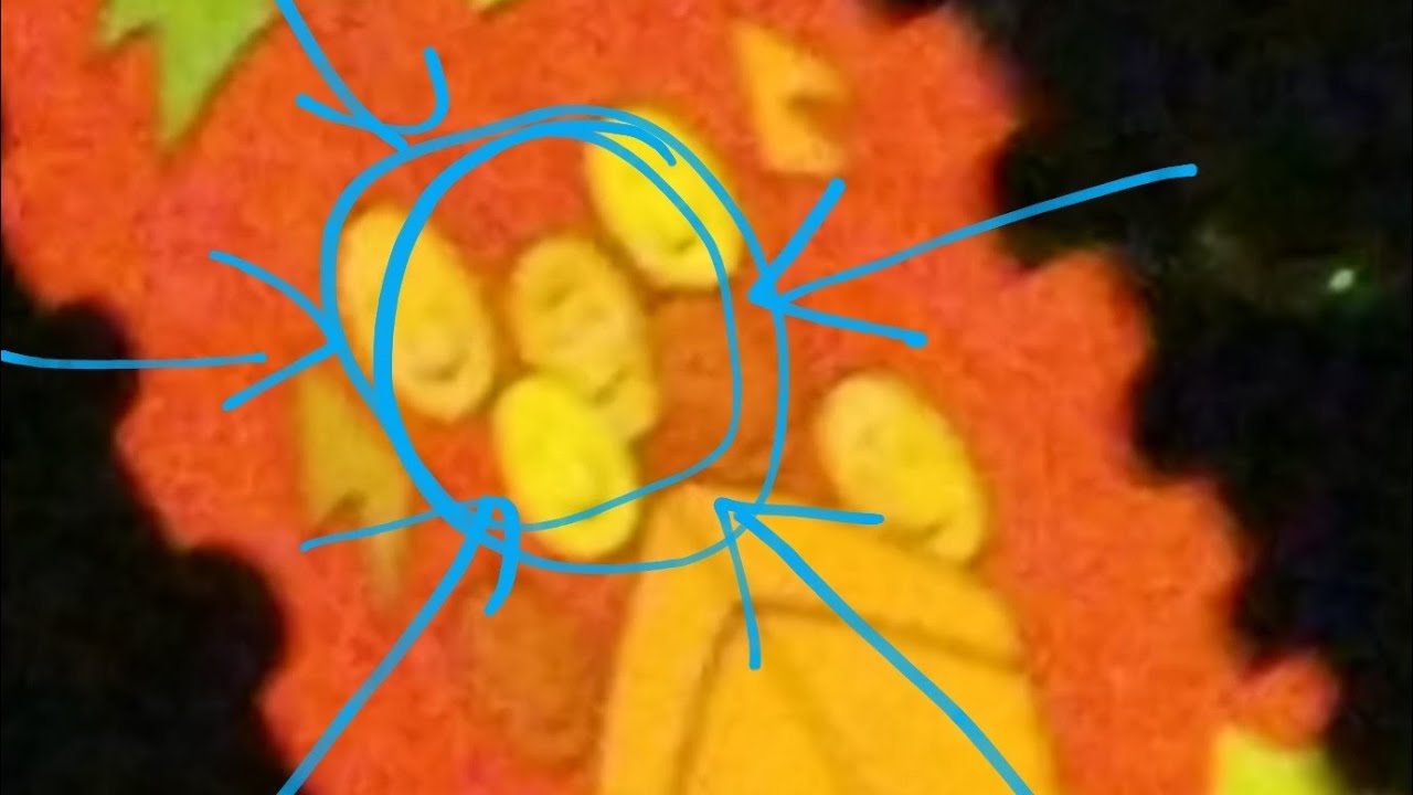 Finding Charlie Brown On Its A Small World At Disneyland - YouTube