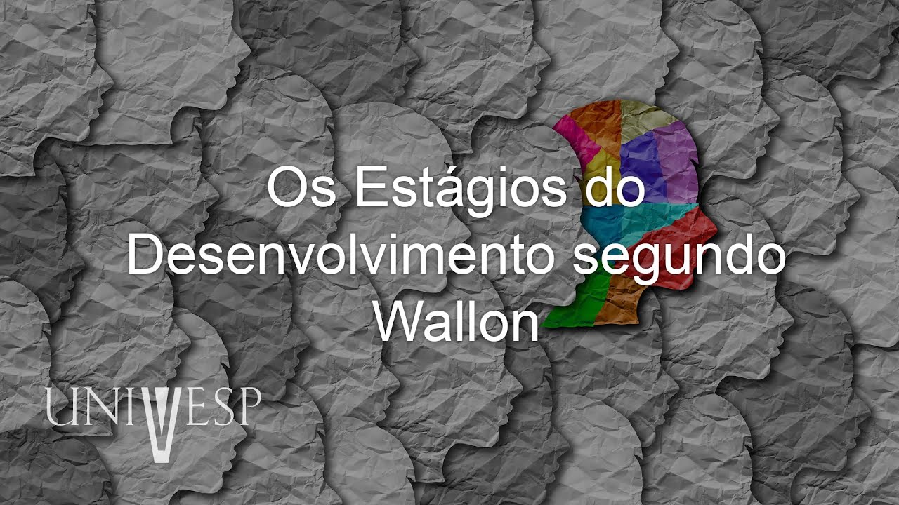 Conjuntos Funcionais De Wallon