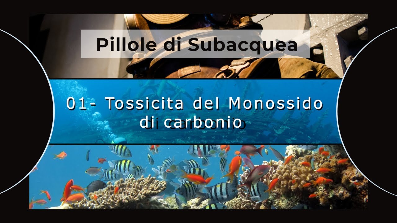 Pillole di subacquea #01: La tossicità del monossido di carbonio - YouTube