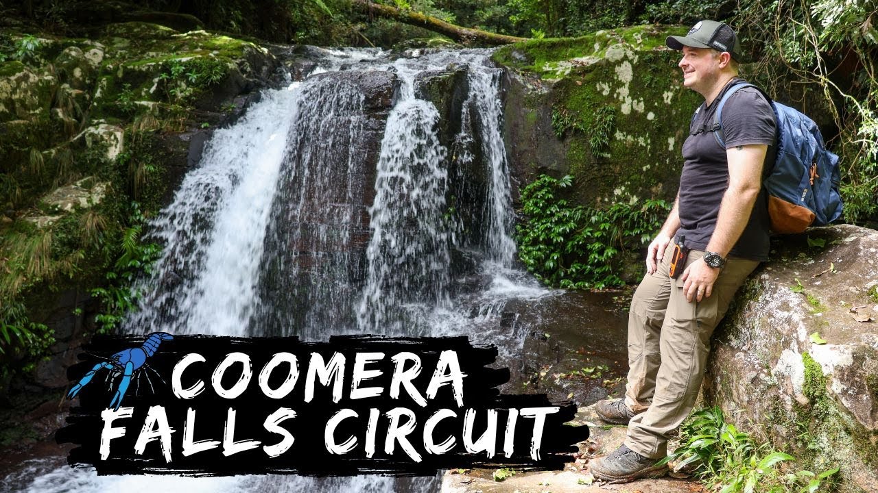 COOMERA FALLS CIRCUIT - Lamington National Park, Queensland, Australia ...
