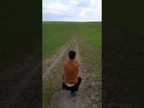 Sarsılmaz p8L sarsıldı...