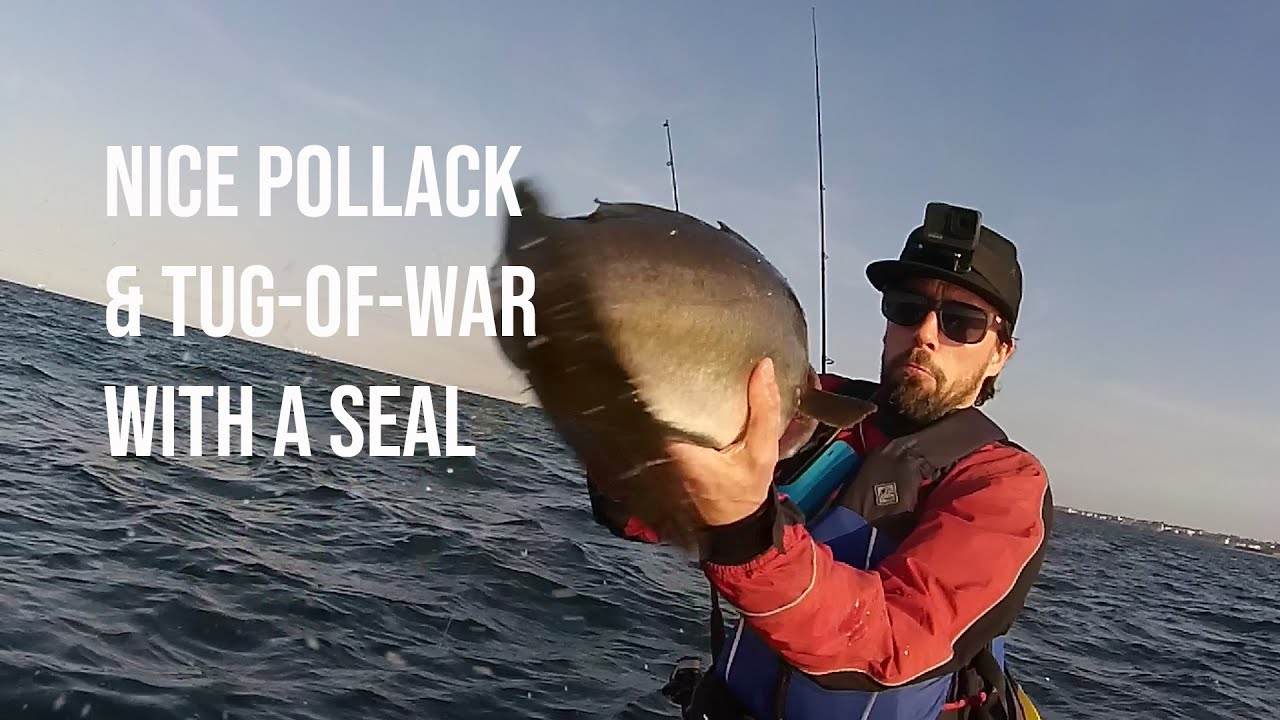 Kayak Fishing UK | Big Pollack on Small Lures | Calamity at Sea - YouTube