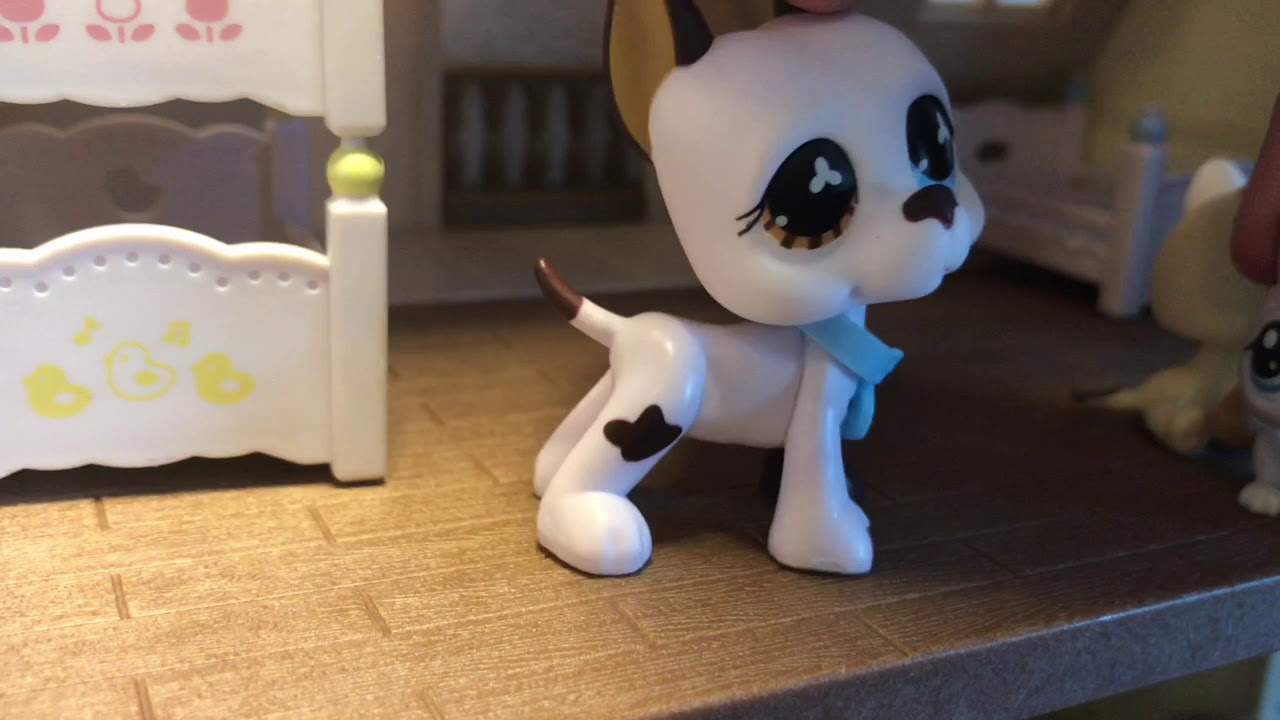 Cat Masters BACK!!!! - YouTube