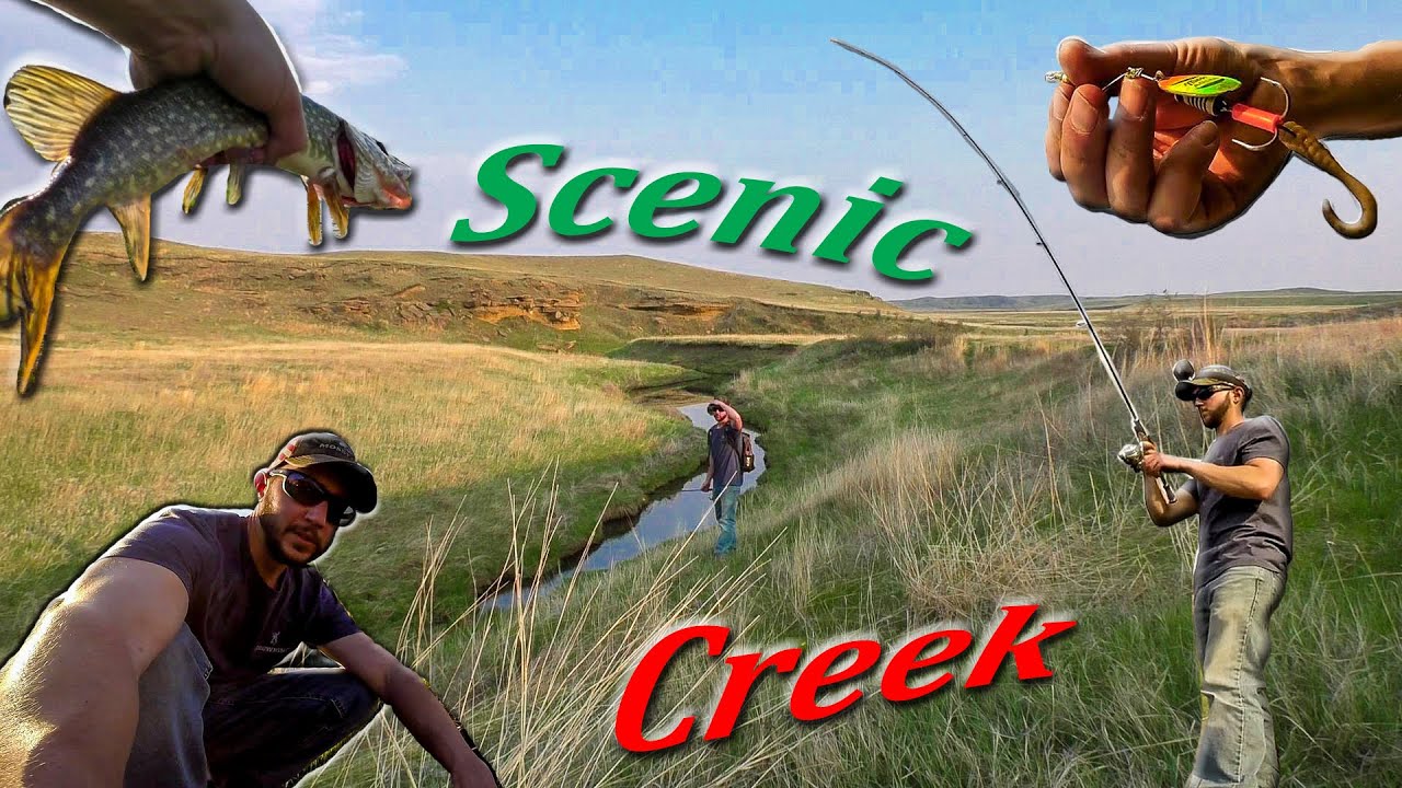 A Scenic Adventure - Creek Fishing - YouTube