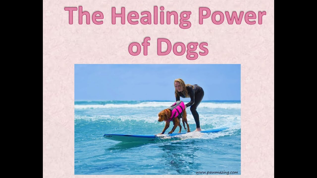 Healing Power of Dogs Webinar 10 8 24 - YouTube