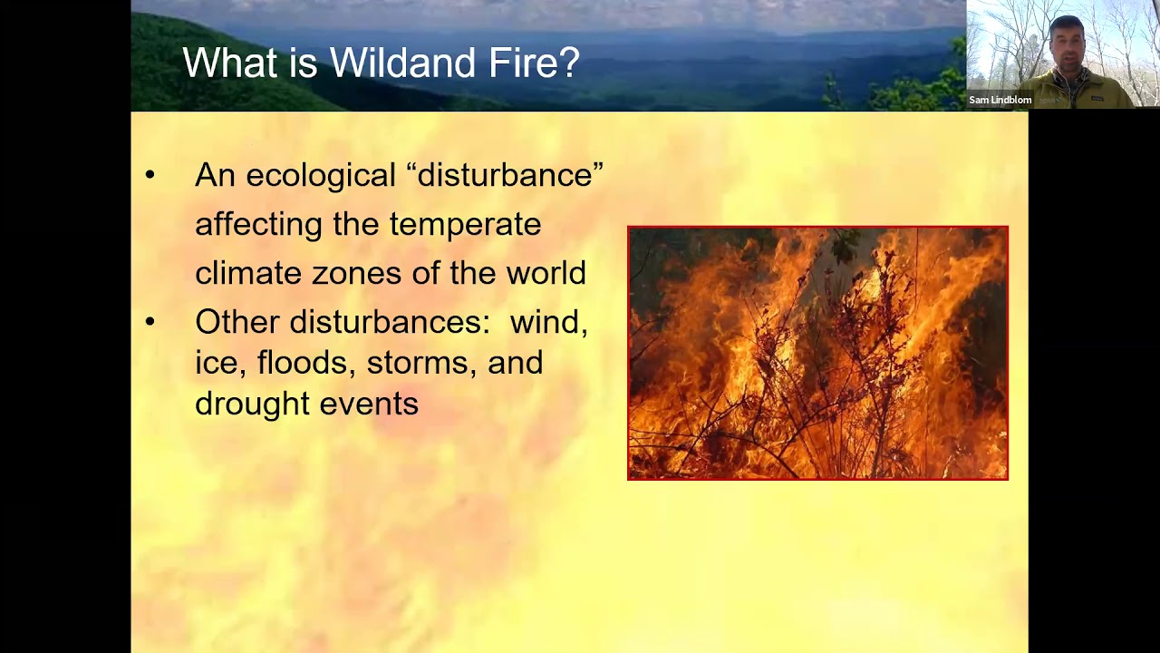 Good Fire, Bad Fire: An Ecological Perspective - YouTube